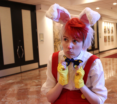 Jessica Rabbit And Roger Rabbit Costume