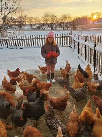 BuyMyEggs.com: pastured chicken eggs (Verona, WI)