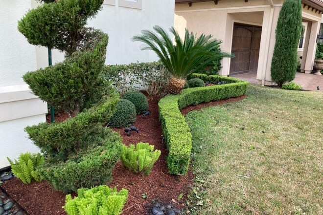 Your neighborly company at your service