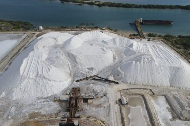 Salt-trading.com, Season Your Success: Trade Pure, Trade Smart, The ...