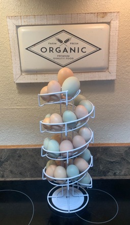 easter egger eggs for hatching