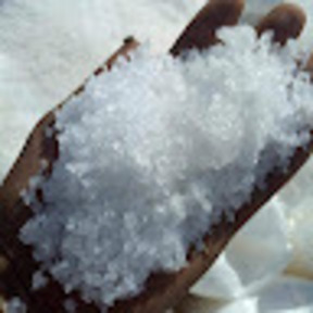 Salt-trading.com, Season Your Success: Trade Pure, Trade Smart, The ...